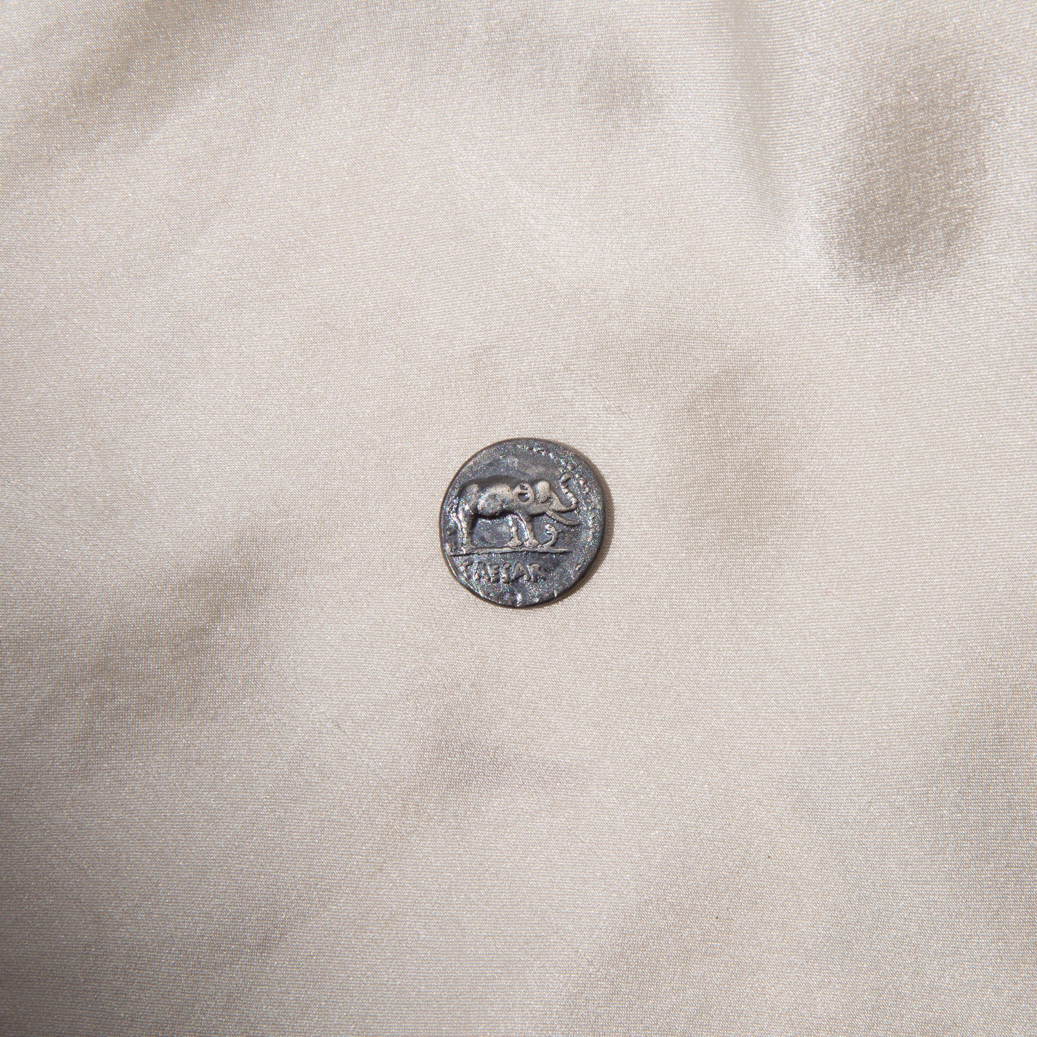 Castaway Coins Silver – ELECTRUM ALCHEMY